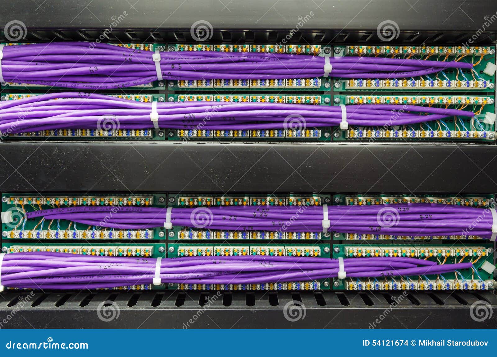 Large Group of Lilac Utp Cables Stock Photo - Image of cable, access ...