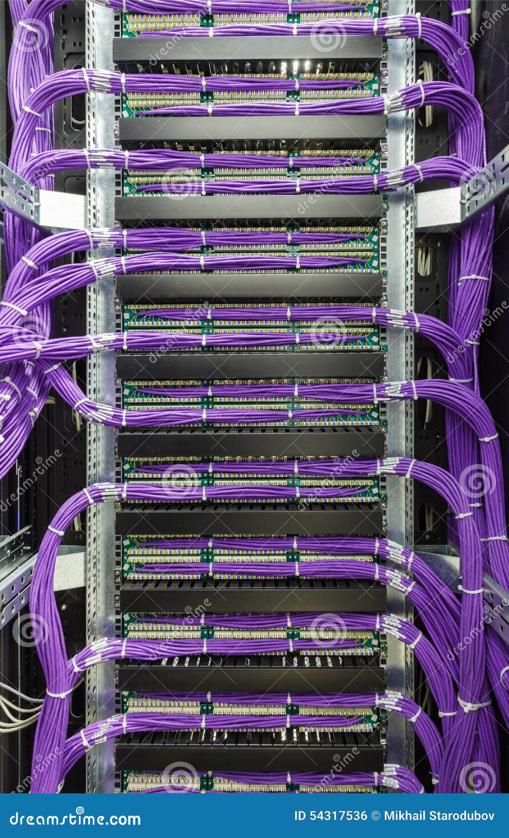 Large Group of Lilac Utp Cables Stock Photo - Image of number, industry ...