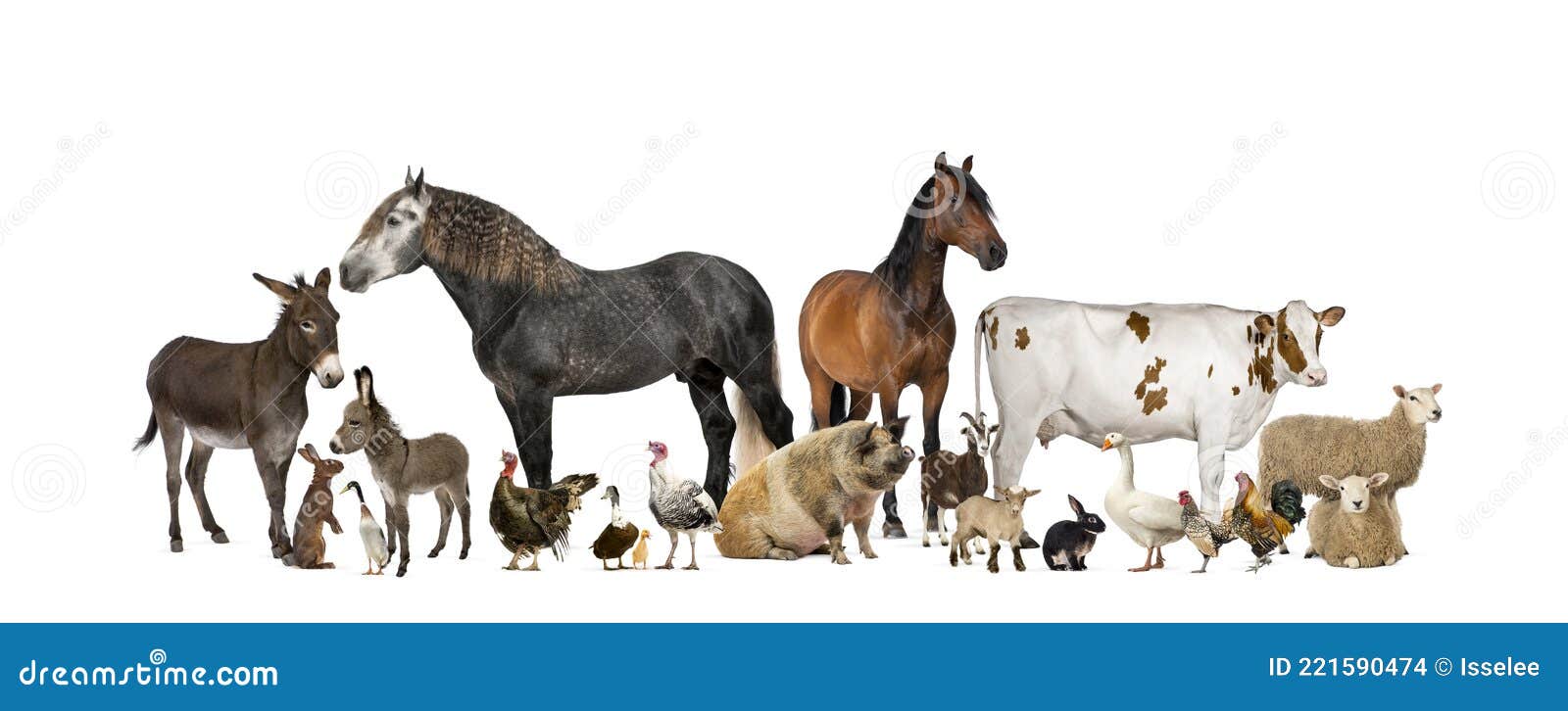 3 Animals Standing Next To Each Other Sticking Out Tongue Stock Photo ...