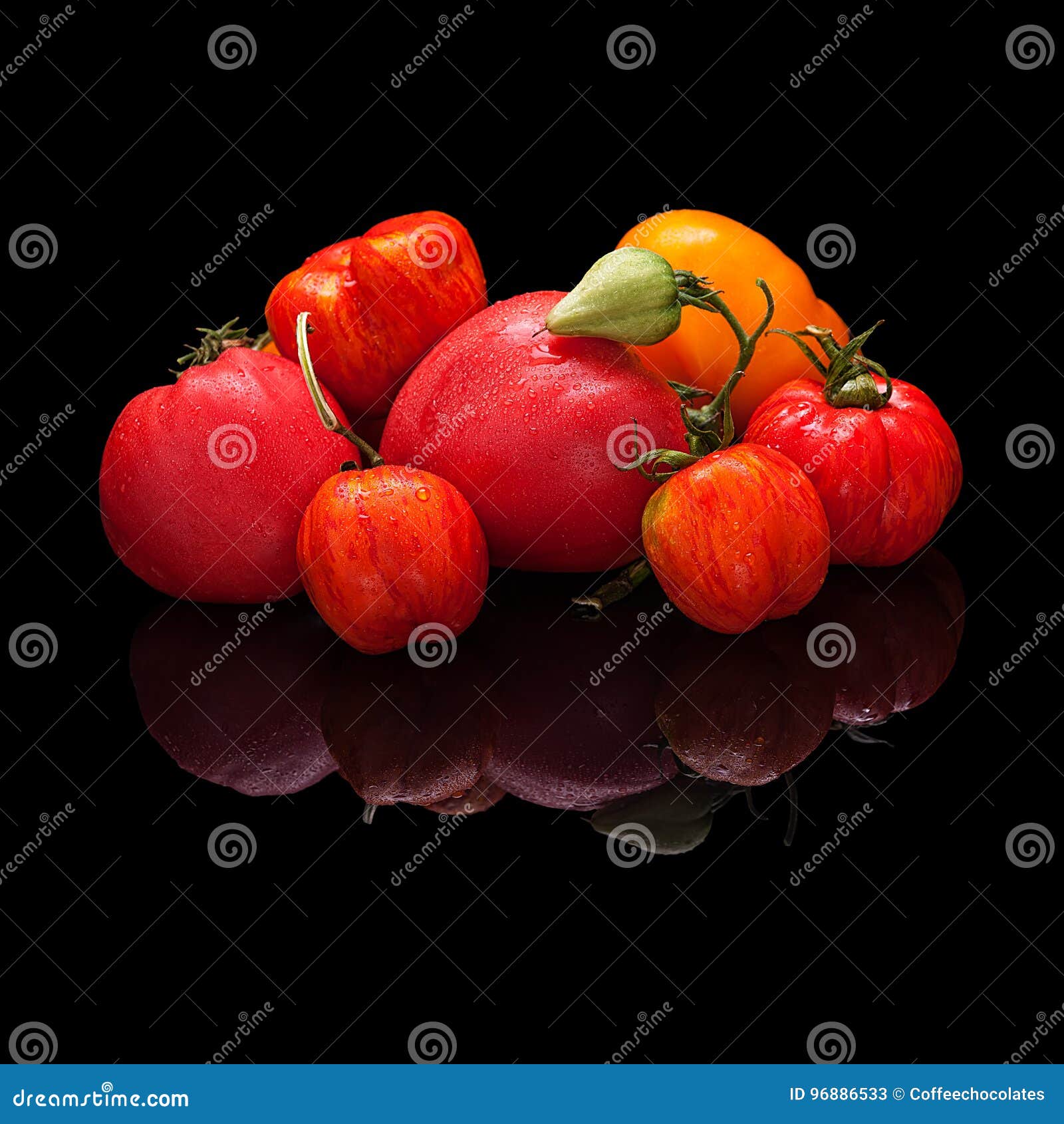 Large Group of Multi-colored Tomatoes Isolated on Black Stock Image ...