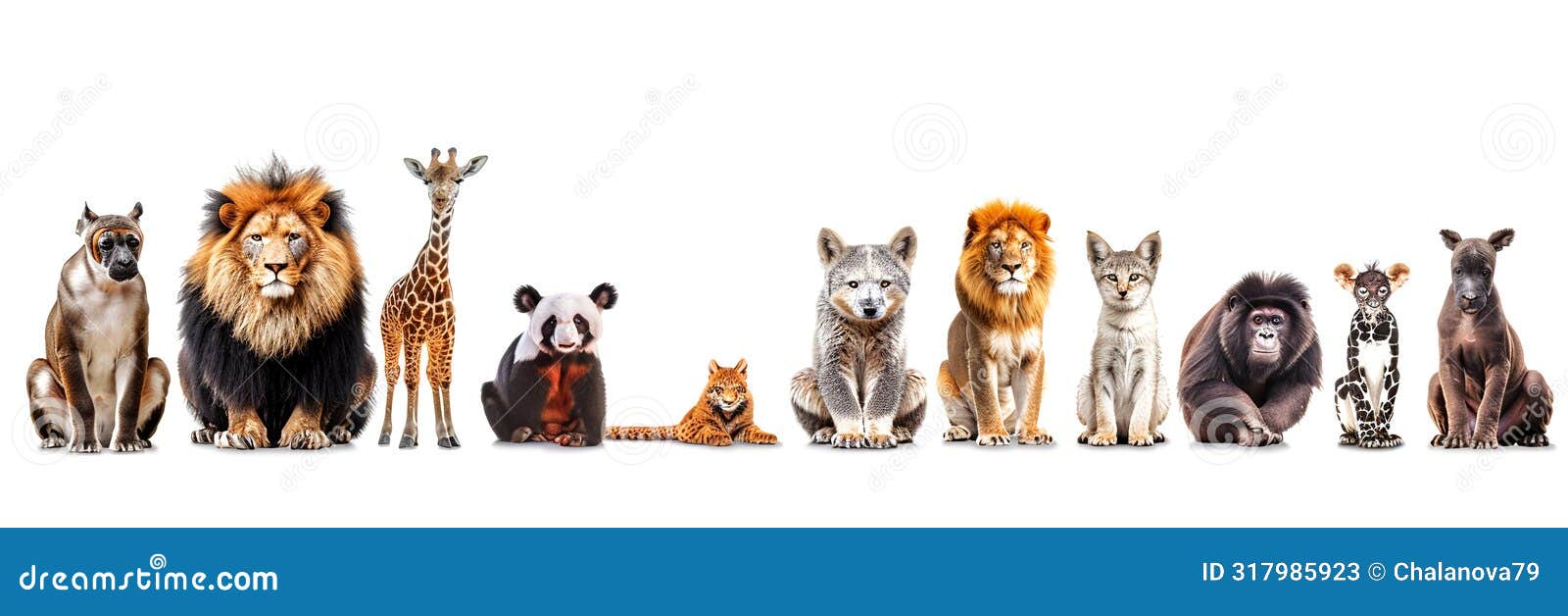 Large Group of Different Animals Together in Front View. Isolated on ...