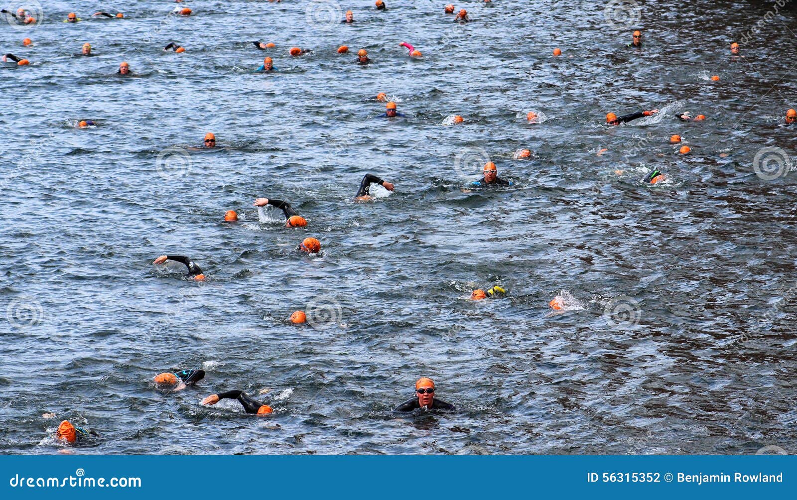 Large group of Swimmers editorial photography. Image of outdoor - 56315352