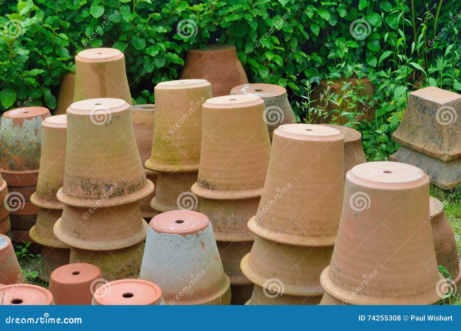 Large Group of Terracotta Gardening Pots Stock Photo - Image of large ...