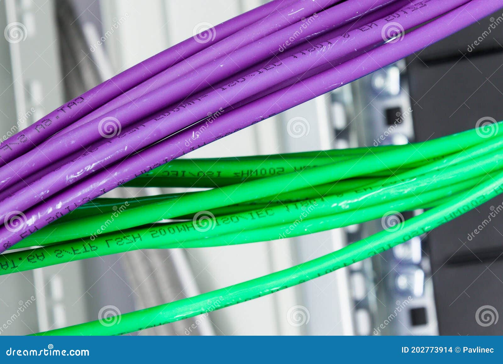 Large Group of UTP Cables, Ethernet Cables in Rack Cabinet, Lead Stock ...