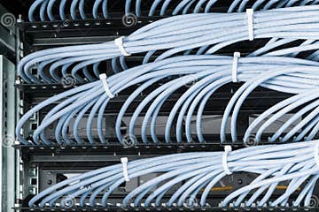 Large Group of UTP Cables, Ethernet Cables in Rack Cabinet, Lead Stock ...