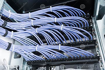 Large Group of UTP Cables, Ethernet Cables in Rack Cabinet, Lead Stock ...