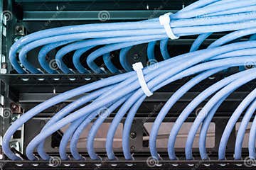 Large Group of UTP Cables, Ethernet Cables in Rack Cabinet, Lead Stock ...