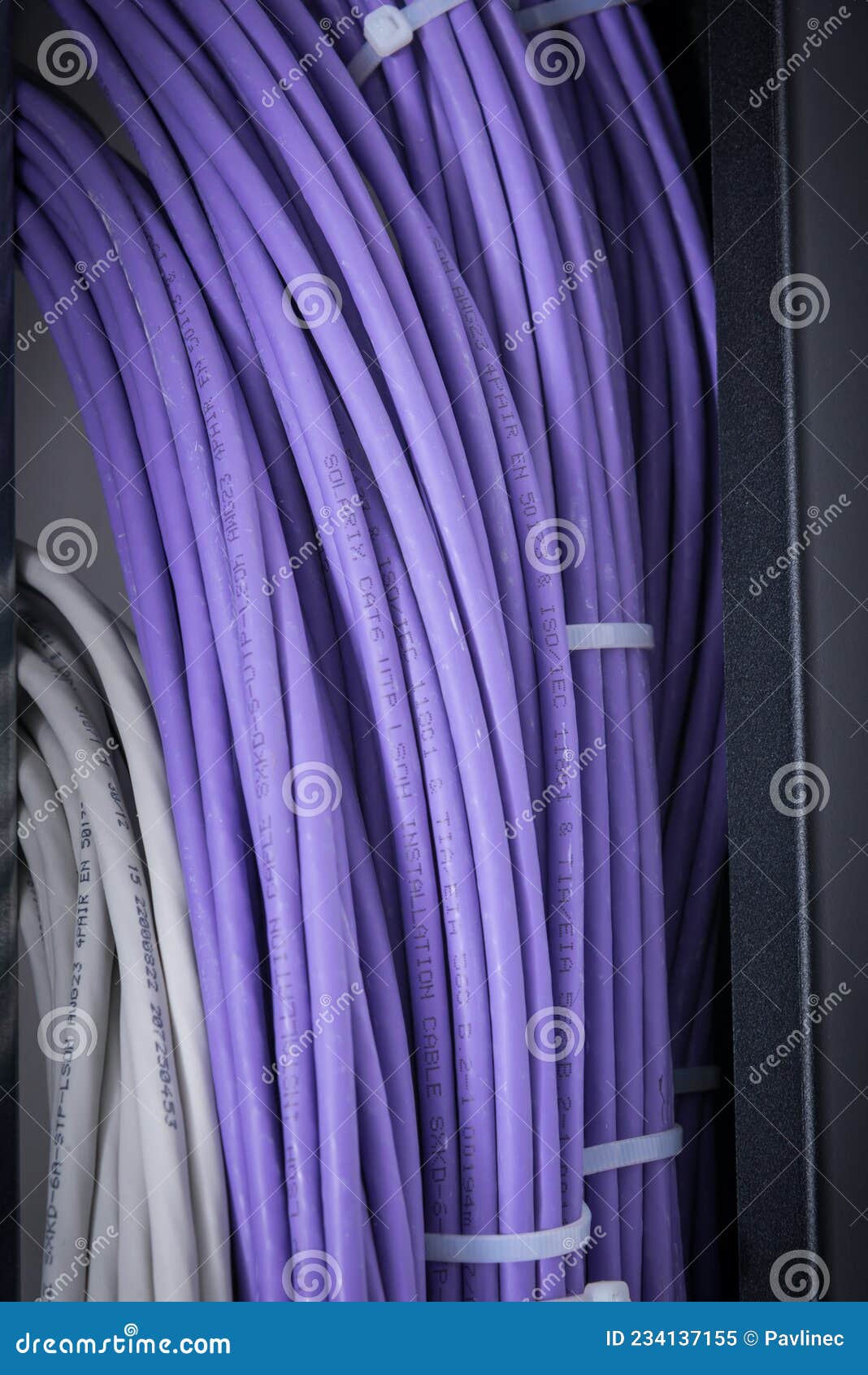 Large Group of UTP Cables, Ethernet Cables in Rack Cabinet, Lead Stock ...