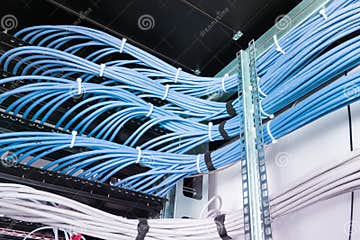 Large Group of UTP Cables, Ethernet Cables in Rack Cabinet, Lead Stock ...