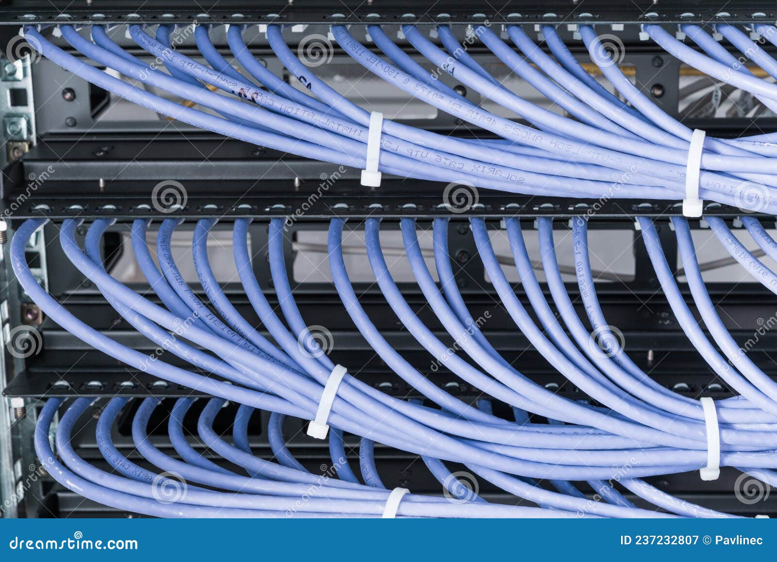 Large Group of UTP Cables, Ethernet Cables in Rack Cabinet, Lead Stock ...