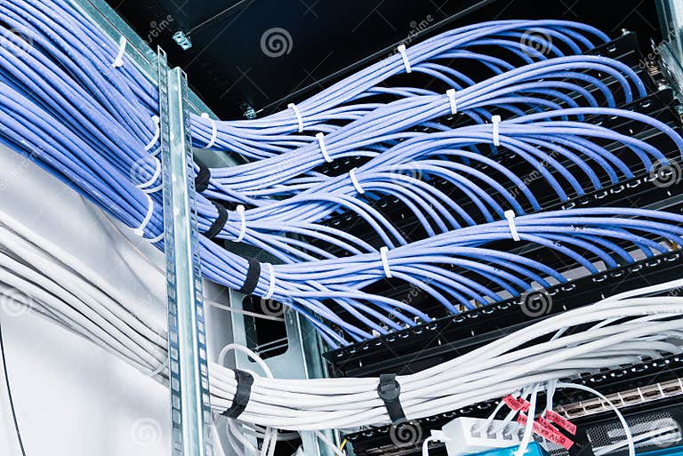 Large Group of UTP Cables, Ethernet Cables in Rack Cabinet, Lead Stock ...