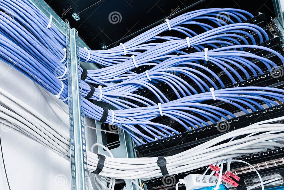Large Group of UTP Cables, Ethernet Cables in Rack Cabinet, Lead Stock ...