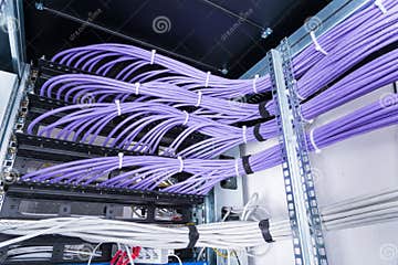 Large Group of UTP Cables, Ethernet Cables in Rack Cabinet, Lead Stock ...