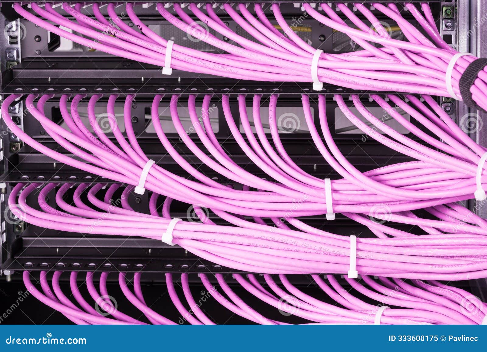 Large Group of UTP Cables, Ethernet Cables in Rack Cabinet, Lead Stock ...