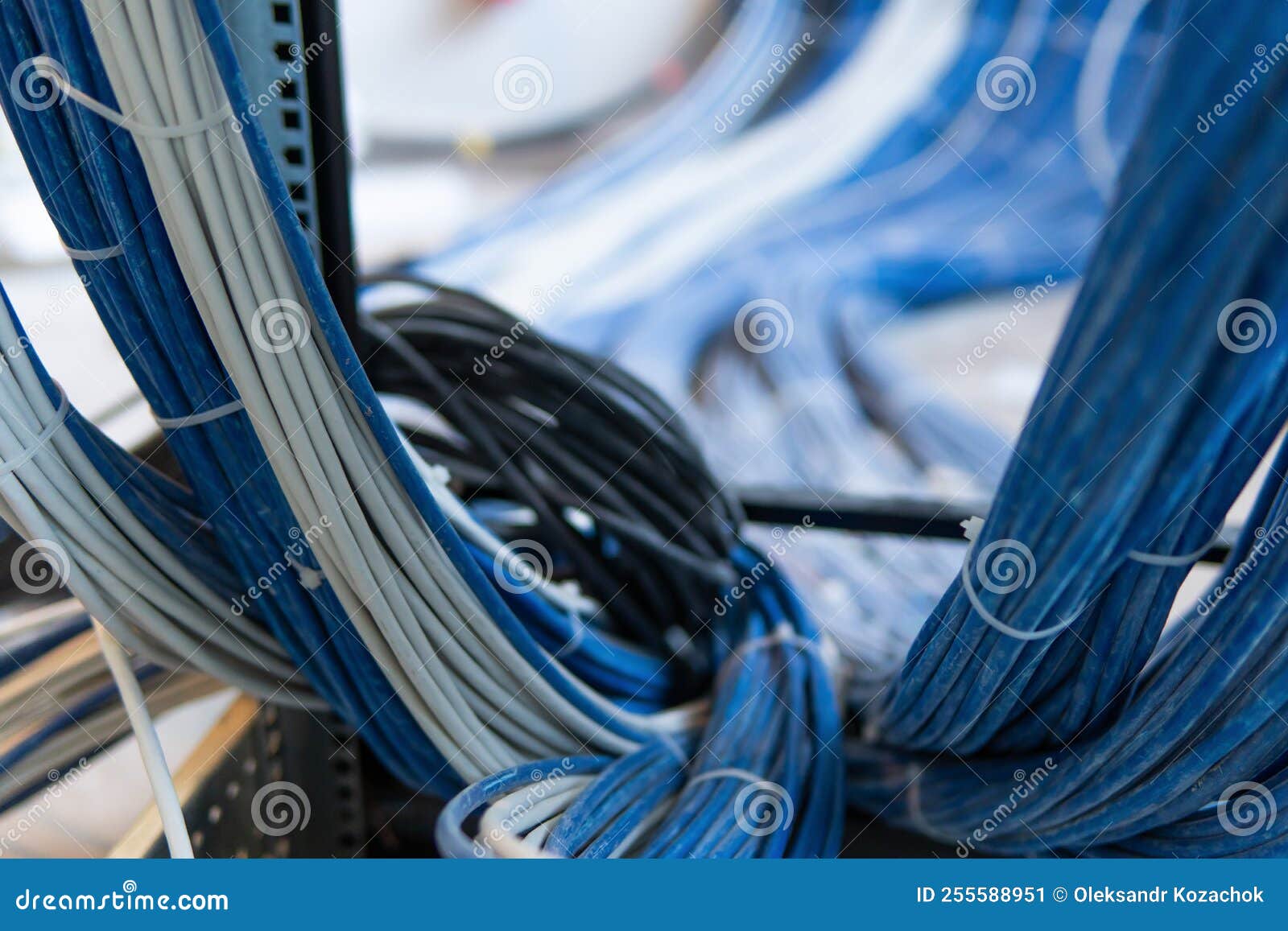 A Large Group of UTP Cables, Rack Ethernet Cables, Patch Panel UTP ...