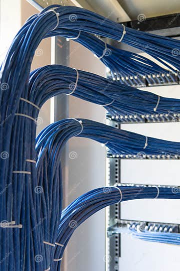 A Large Group of UTP Cables, Rack Ethernet Cables, Patch Panel UTP ...