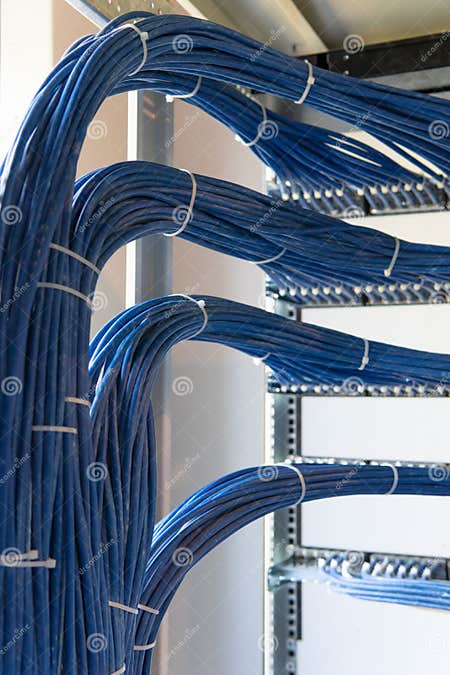 A Large Group of UTP Cables, Rack Ethernet Cables, Patch Panel UTP ...