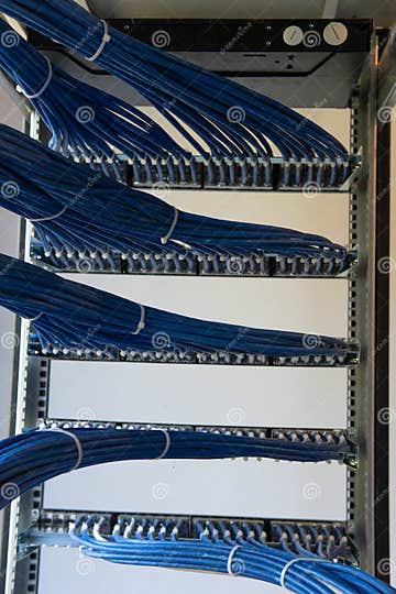 A Large Group of UTP Cables, Rack Ethernet Cables, Patch Panel UTP ...