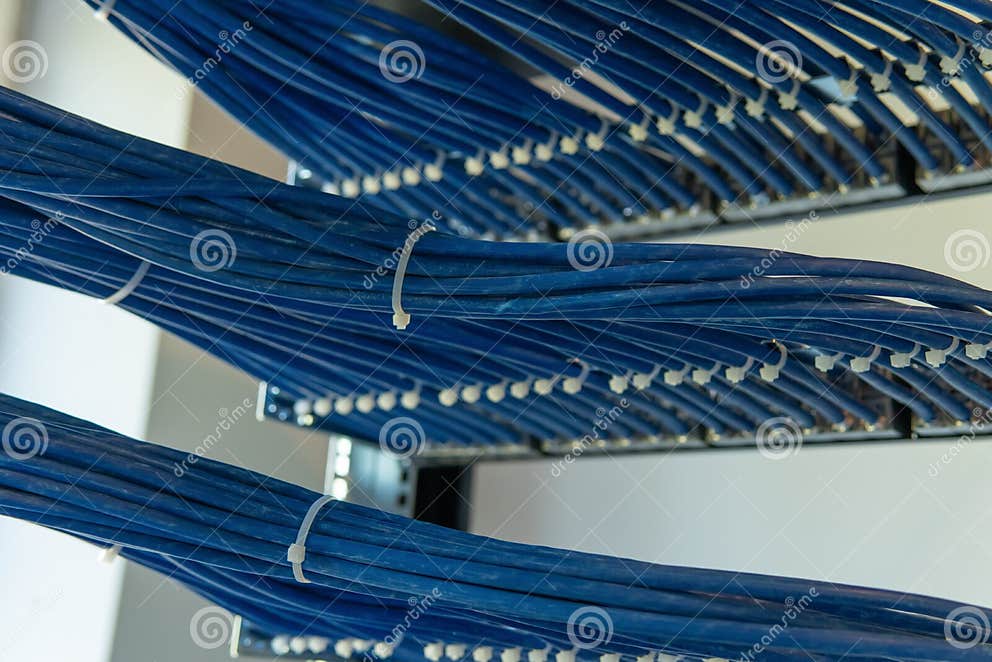 A Large Group of UTP Cables, Rack Ethernet Cables, Patch Panel UTP ...