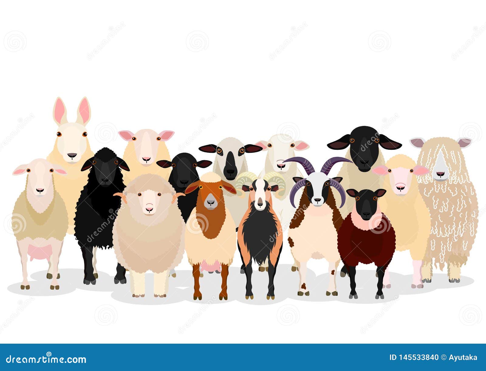 Various Domestic Sheep Group Stock Vector - Illustration of fiber ...