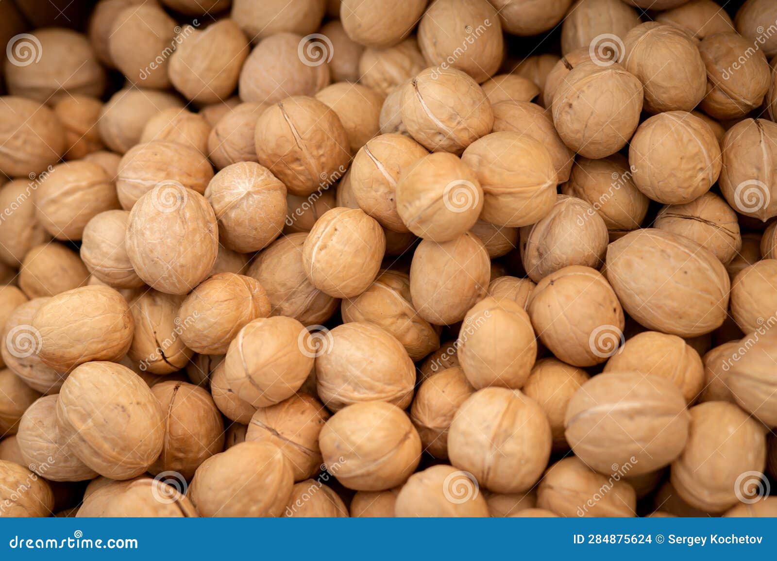 Large Group of Wallnut Fruit Background. Background of Fresh Walnuts ...