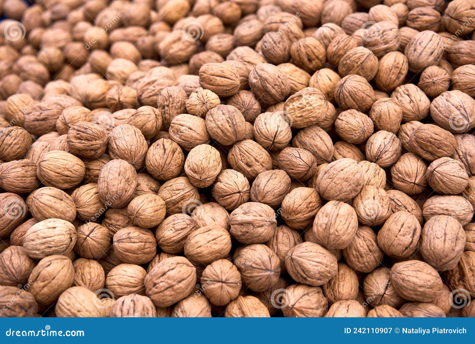 Large Group of Wallnut Fruit Background. Stock Image - Image of organic ...