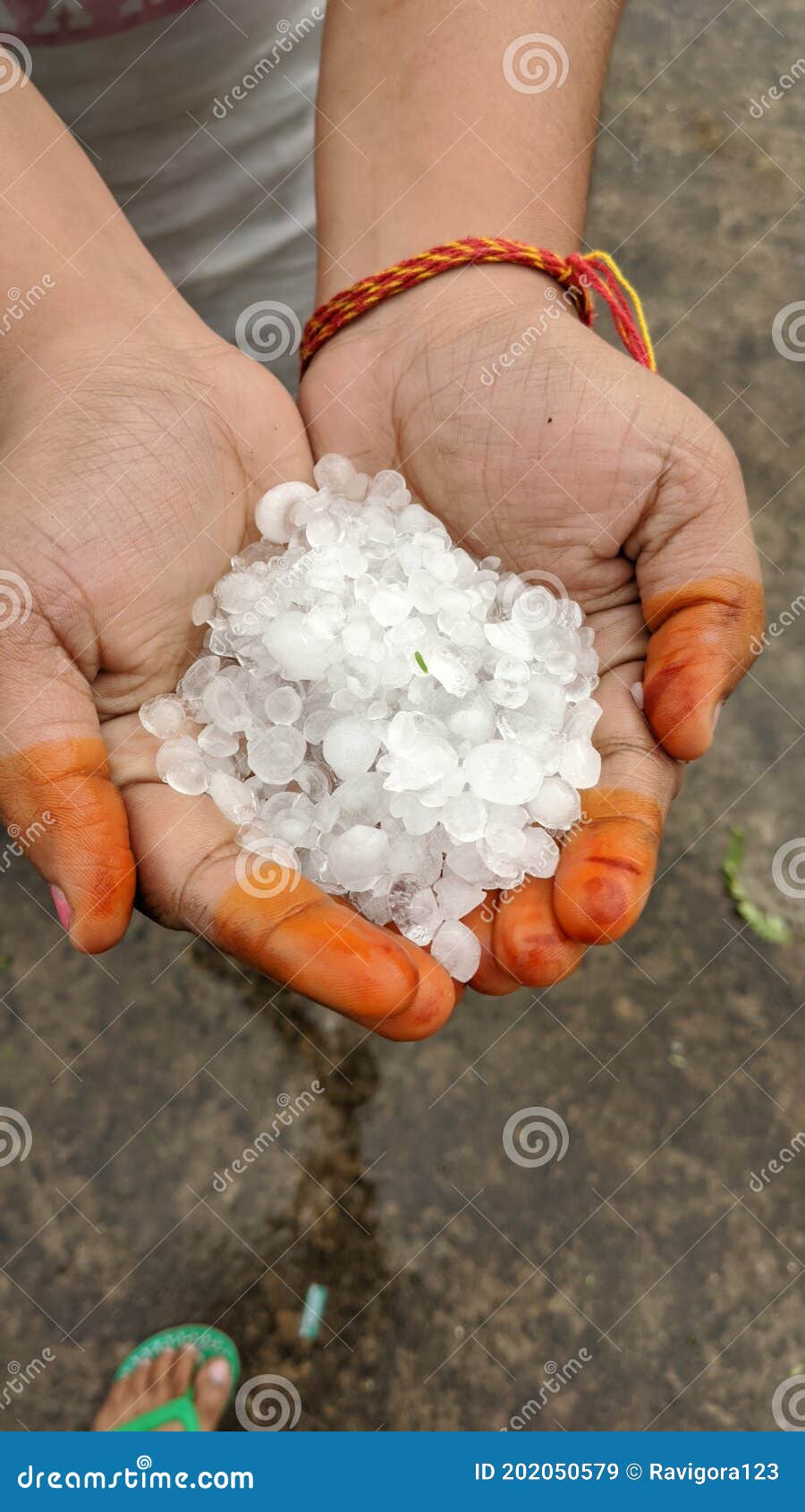 Large Hail Ice Balls after Heavy Summer Storm, Hail Storm Stock Image ...