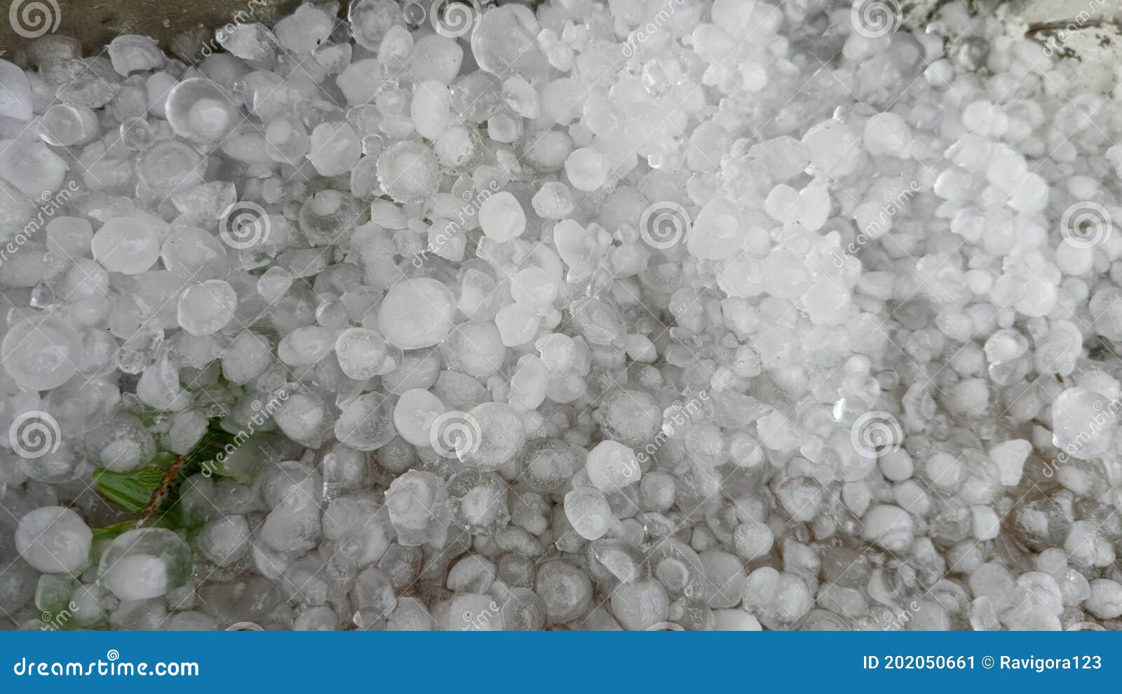 Large Hail Ice Balls after Heavy Summer Storm, Hail Storm Stock Image ...