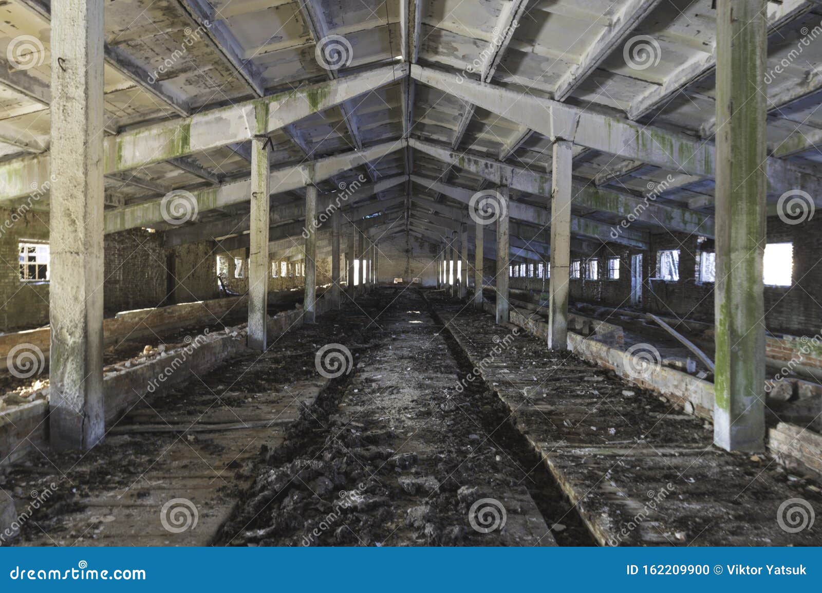 Large Hangar with Columns. Concrete Columns and Ceiling Stock Photo ...