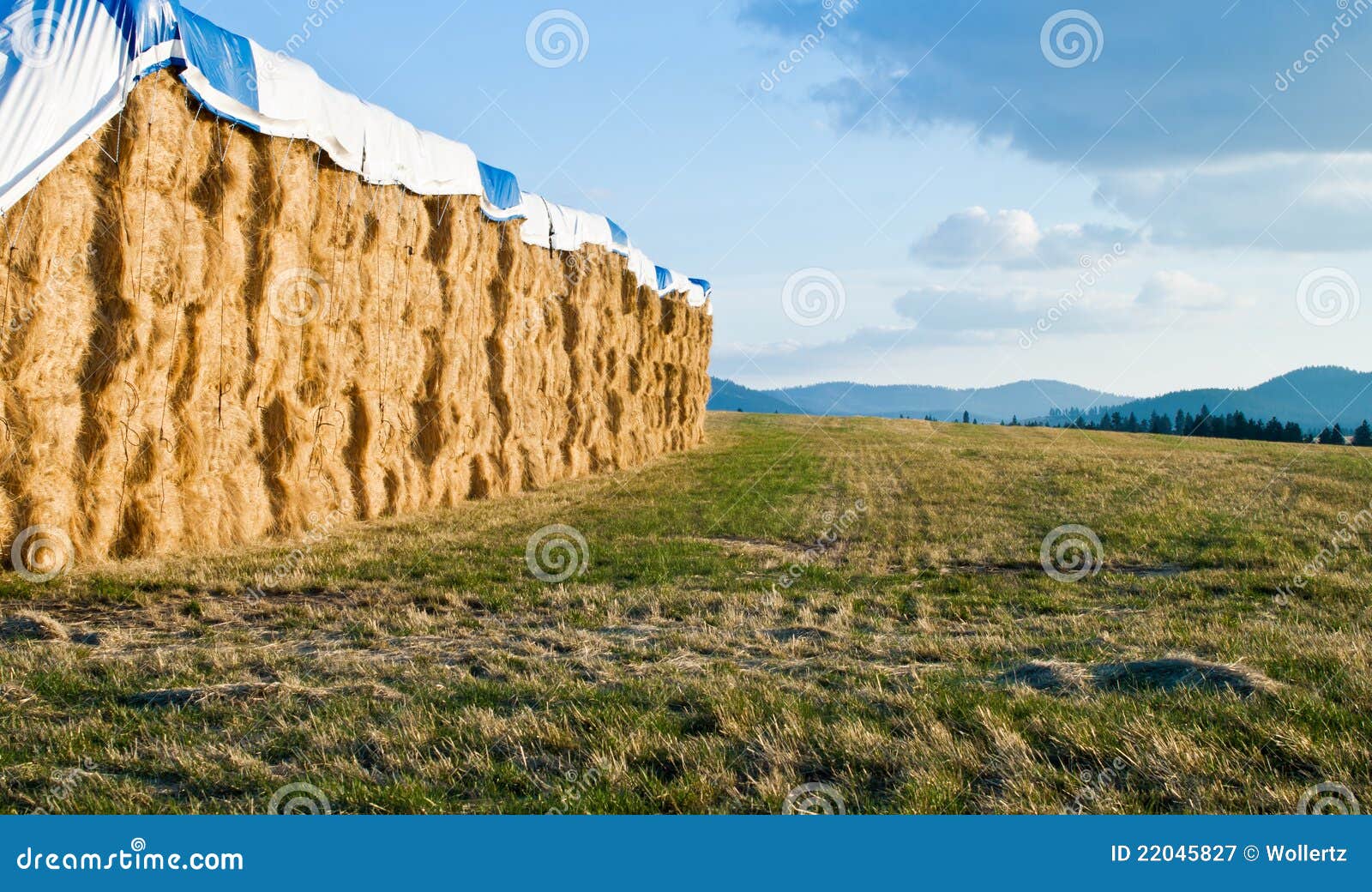 Large hay bails stock image. Image of stacked, farm, food - 22045827