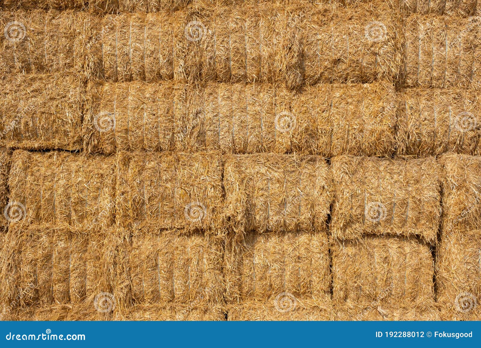 Haystack Texture Background Stock Image | CartoonDealer.com #43608625