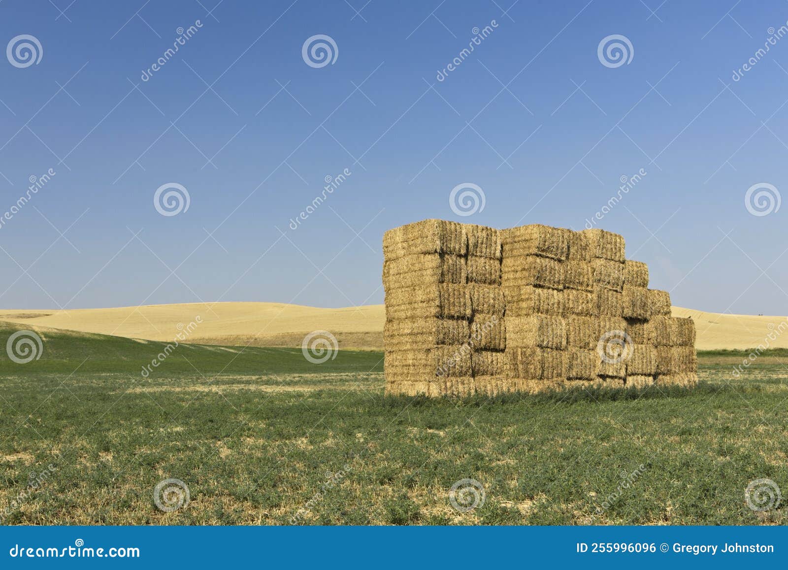 Large Haystack in Washington State Stock Photo - Image of rural ...