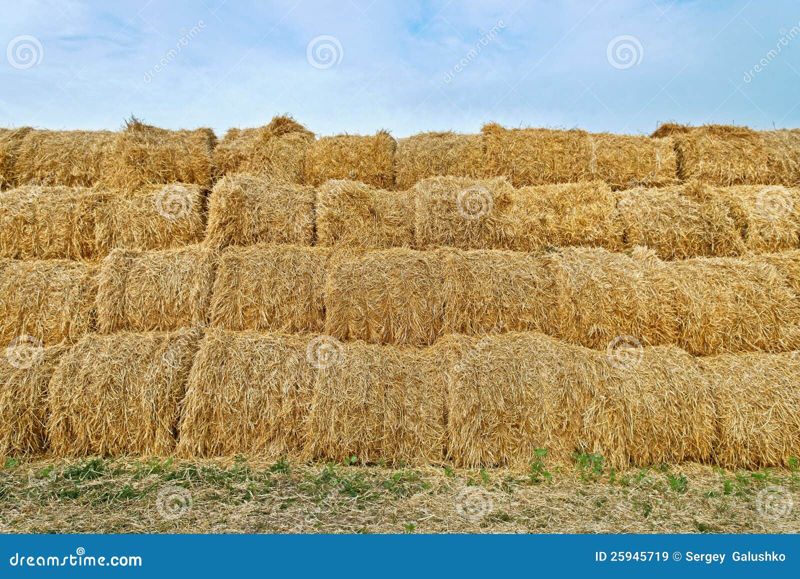 Large haystacks stock image. Image of haystack, heap - 25945719