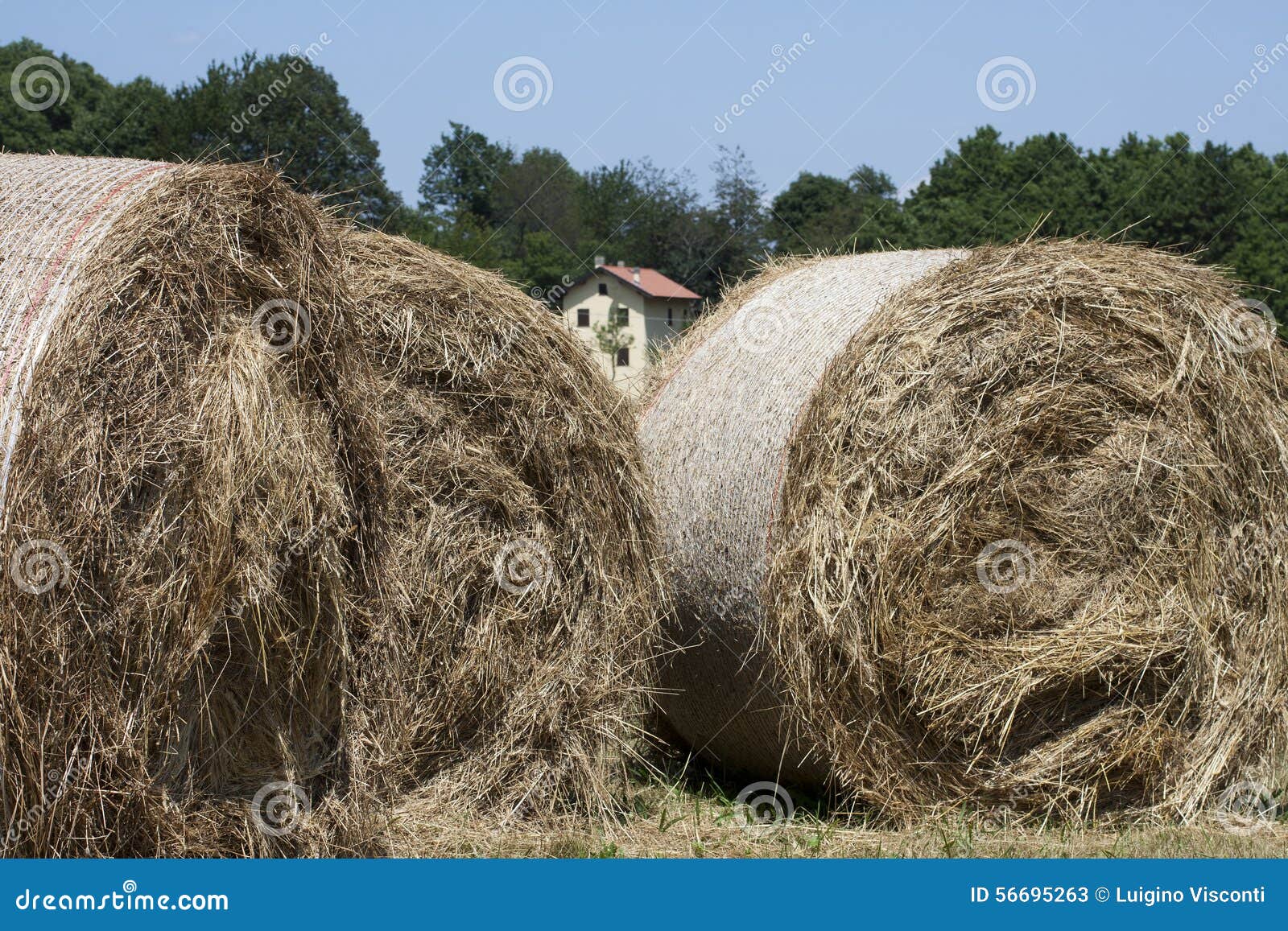 Large haystacks round stock image. Image of round, steppes - 56695263