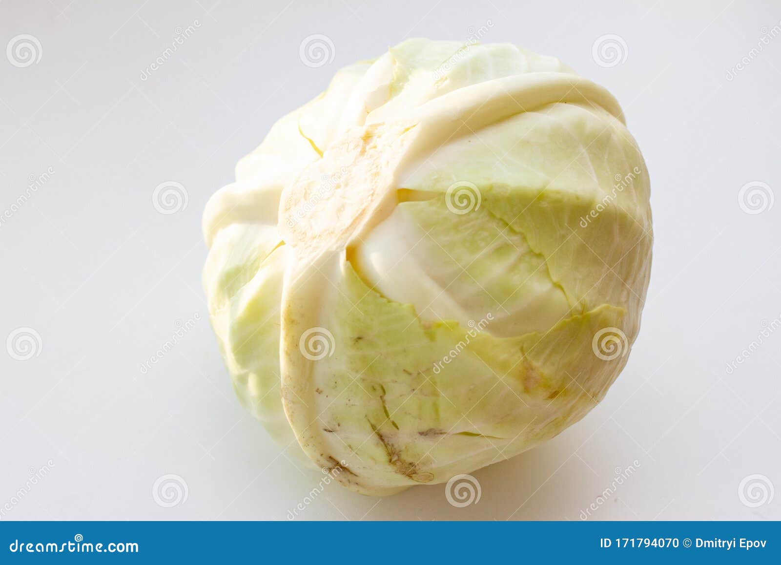 Large Head of White Root Cabbage Vegetable Stock Photo - Image of ...