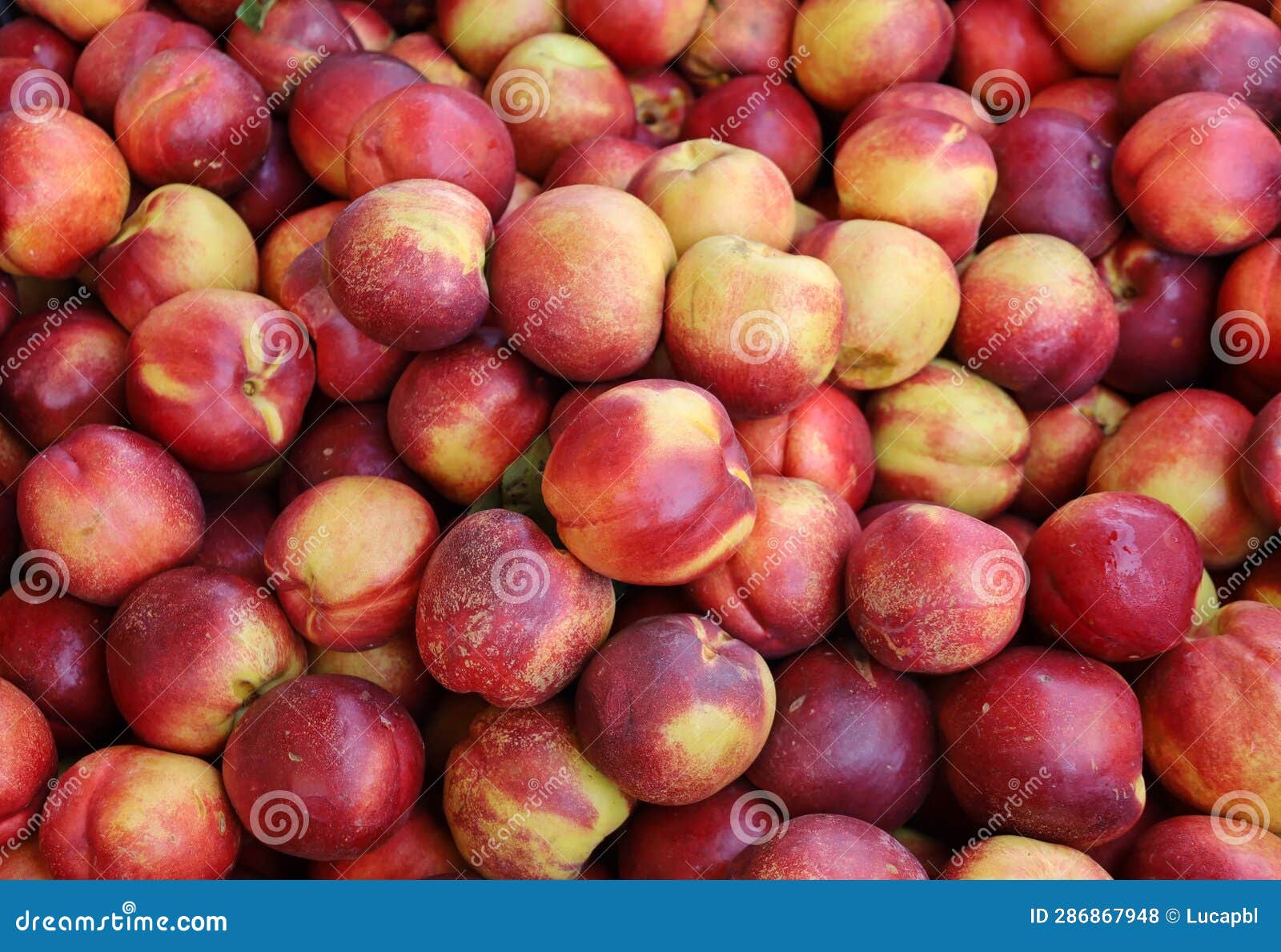 Large Heap of Nectarines at Fruit and Vegetable Store Stock Photo ...