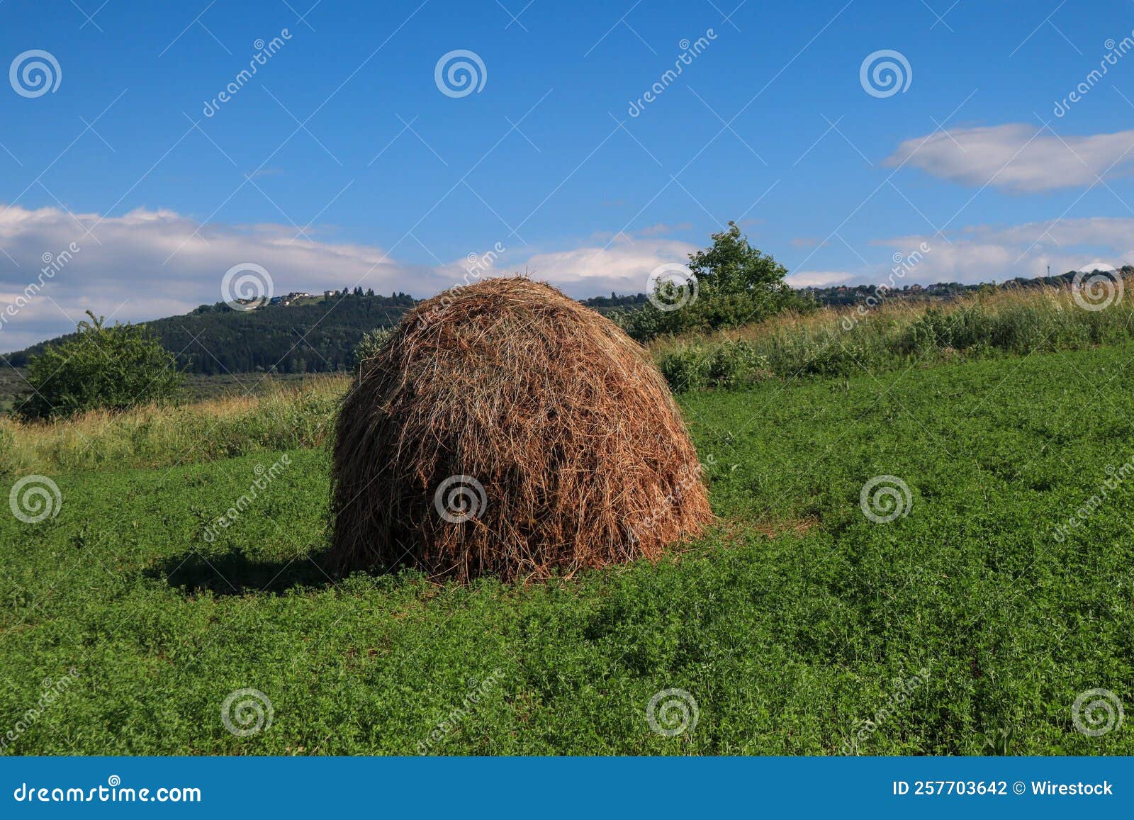 Large Heap Pile of Brown Hay on a Rural Field Stock Photo - Image of ...