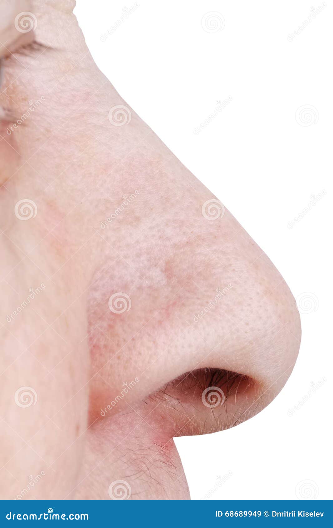 Large human nose stock image. Image of smell, nostrils - 68689949