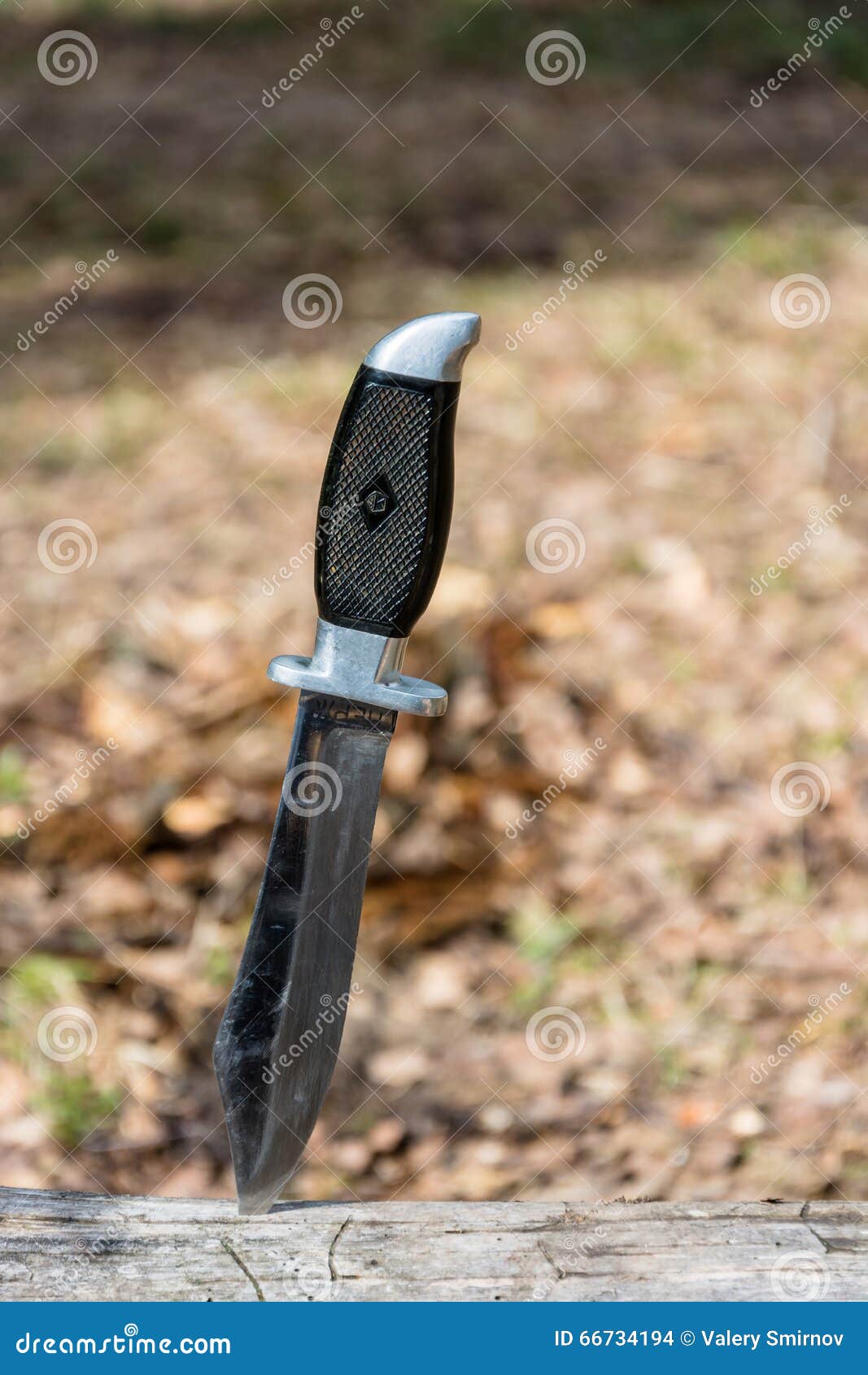 A Large Hunting Knife Stuck in a Log. Stock Photo - Image of background ...