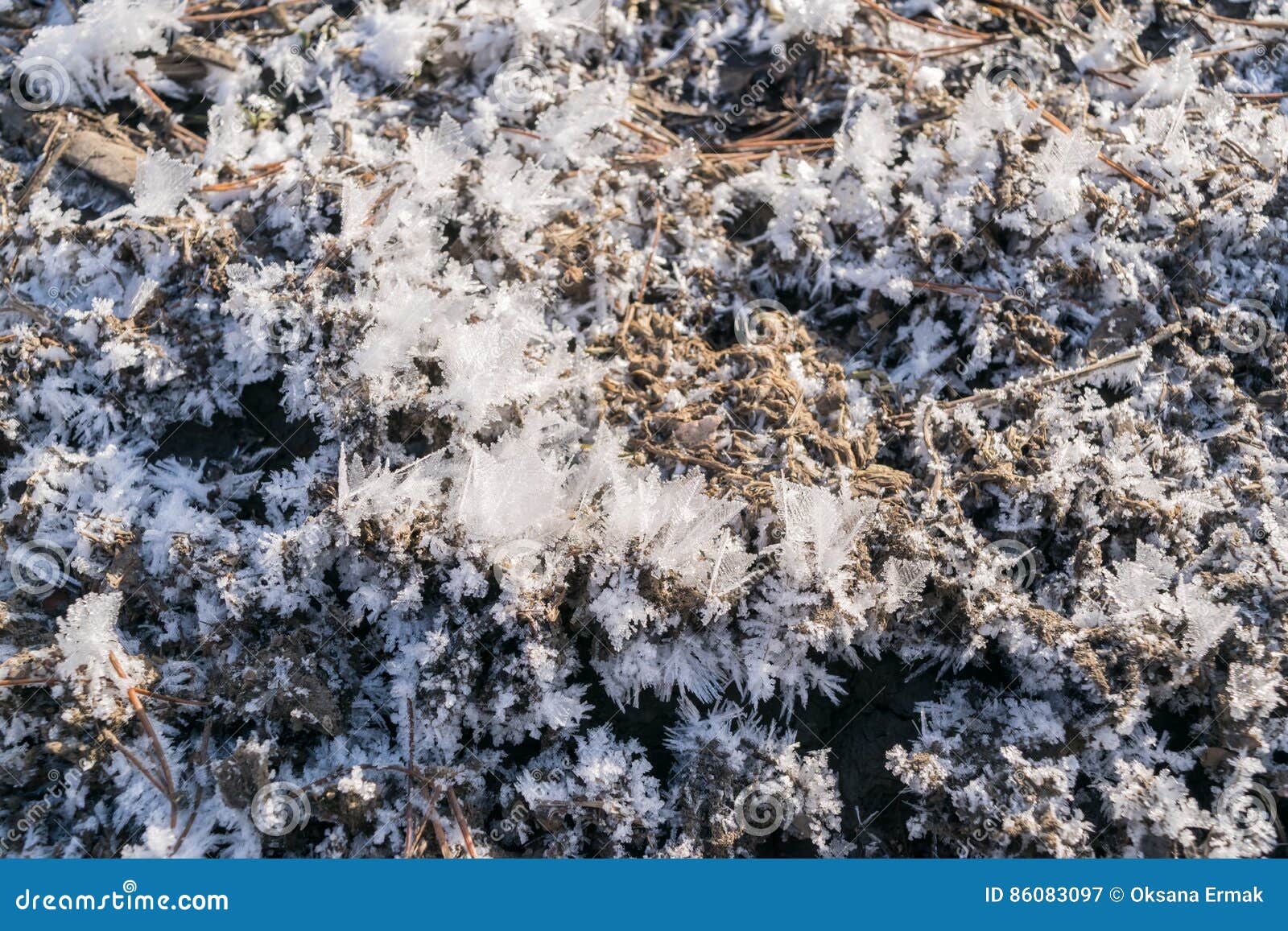 Large Ice Crystals Lit by Sun Stock Image - Image of crystals, snow ...