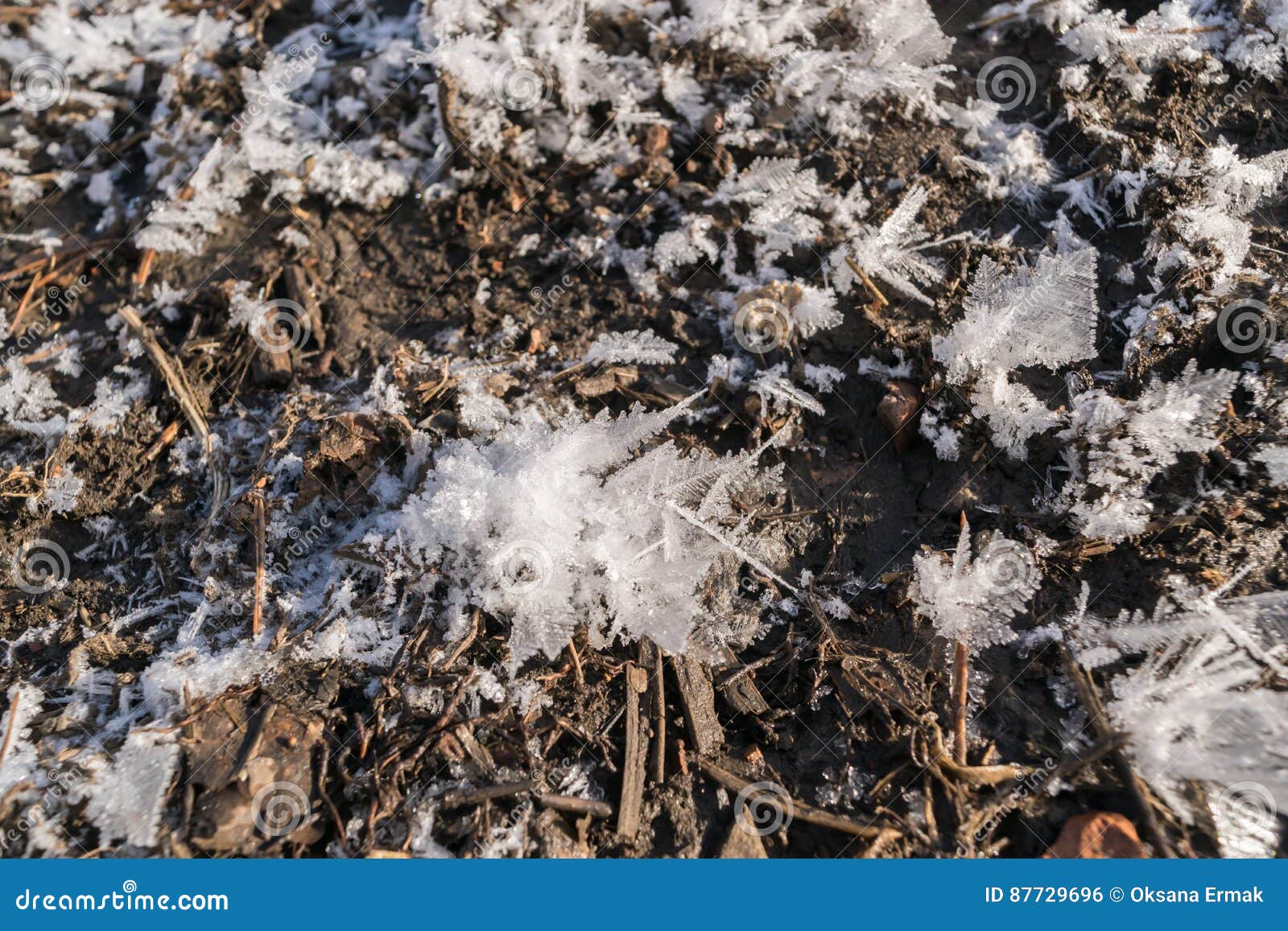 Large Ice Crystals Lit by Sun Stock Photo - Image of snow, winter: 87729696