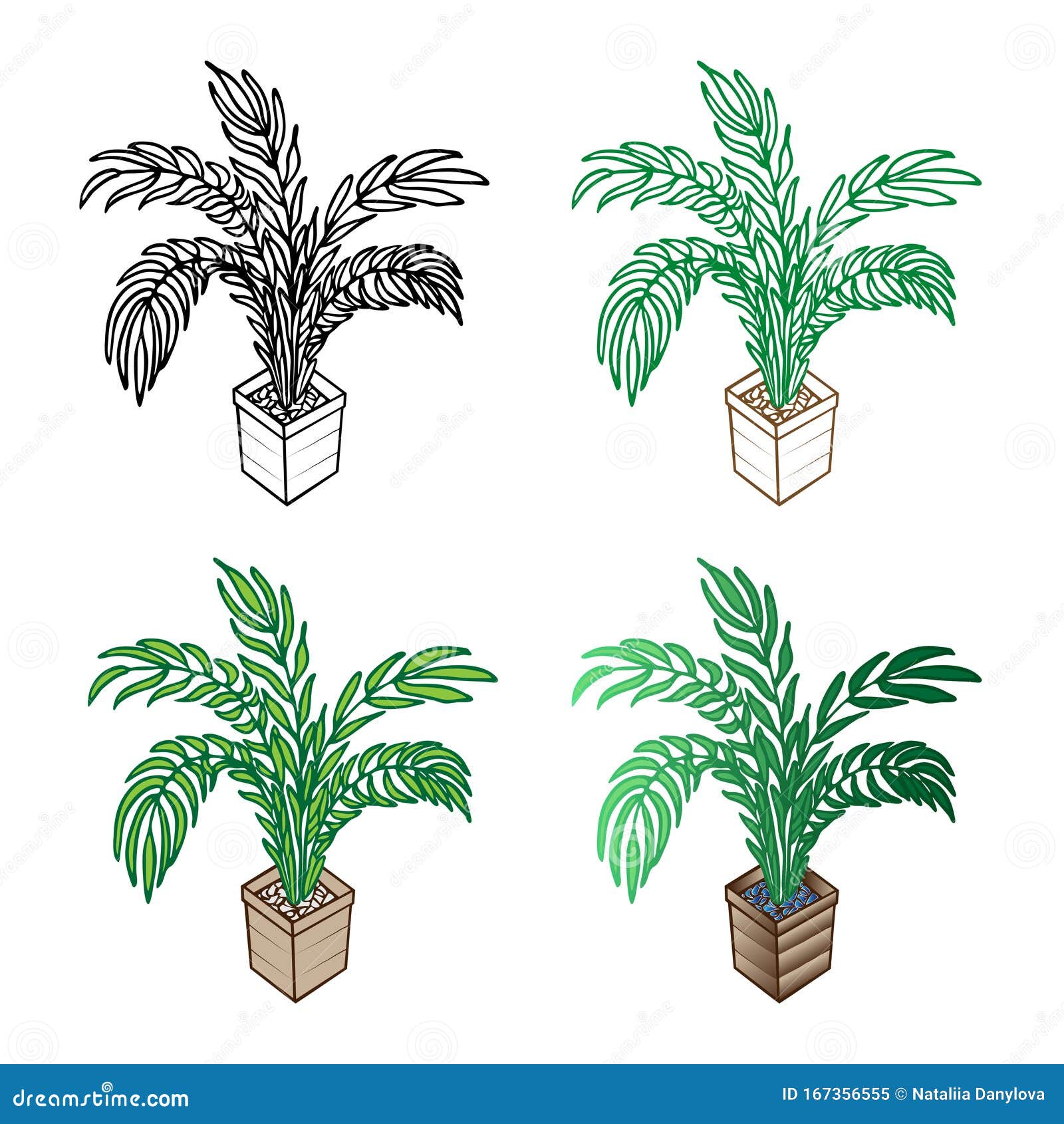 Large indoor tree stock illustration. Illustration of leaves - 167356555