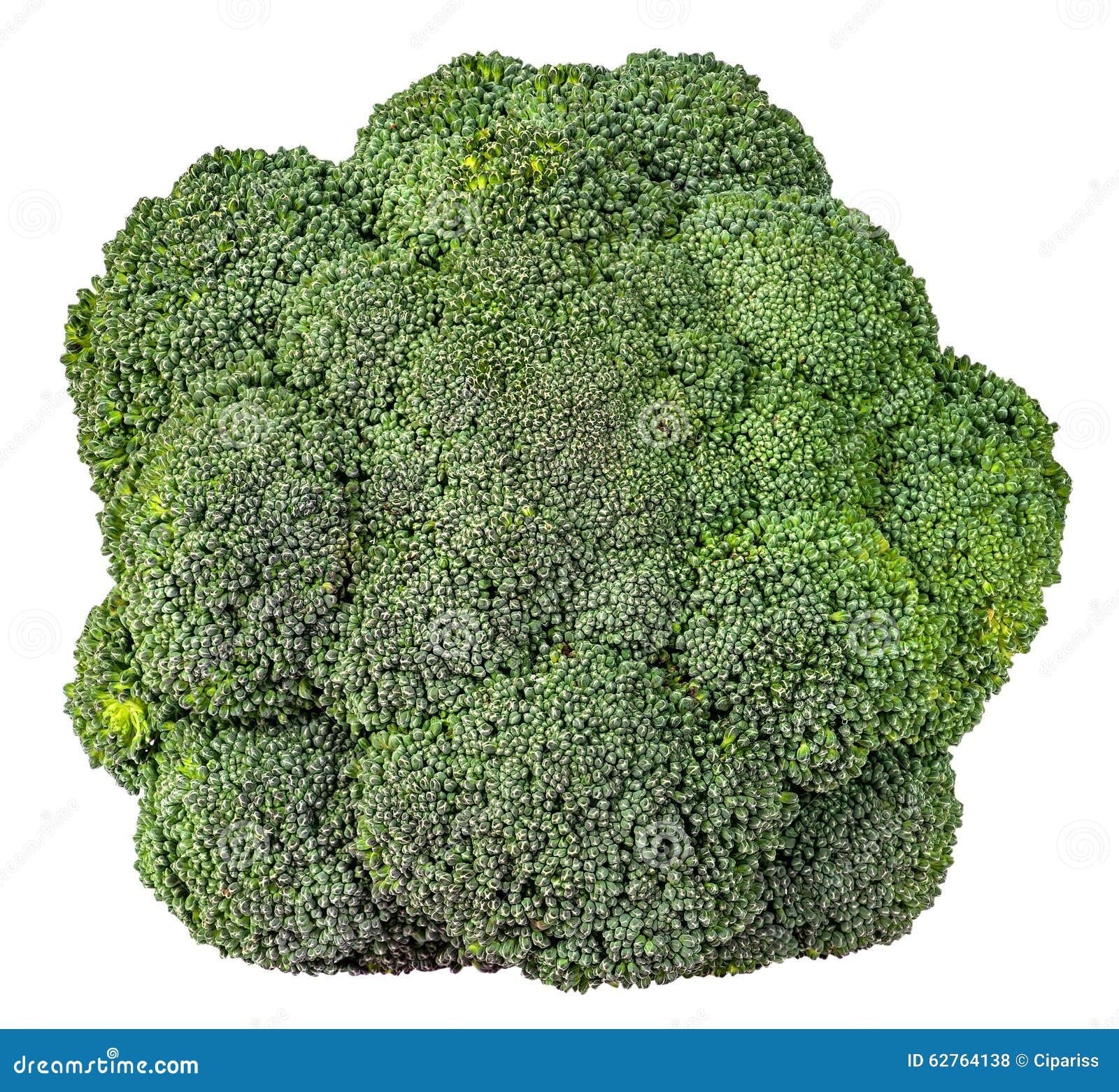 Large Inflorescences of Fresh Broccoli Top View Stock Photo - Image of ...