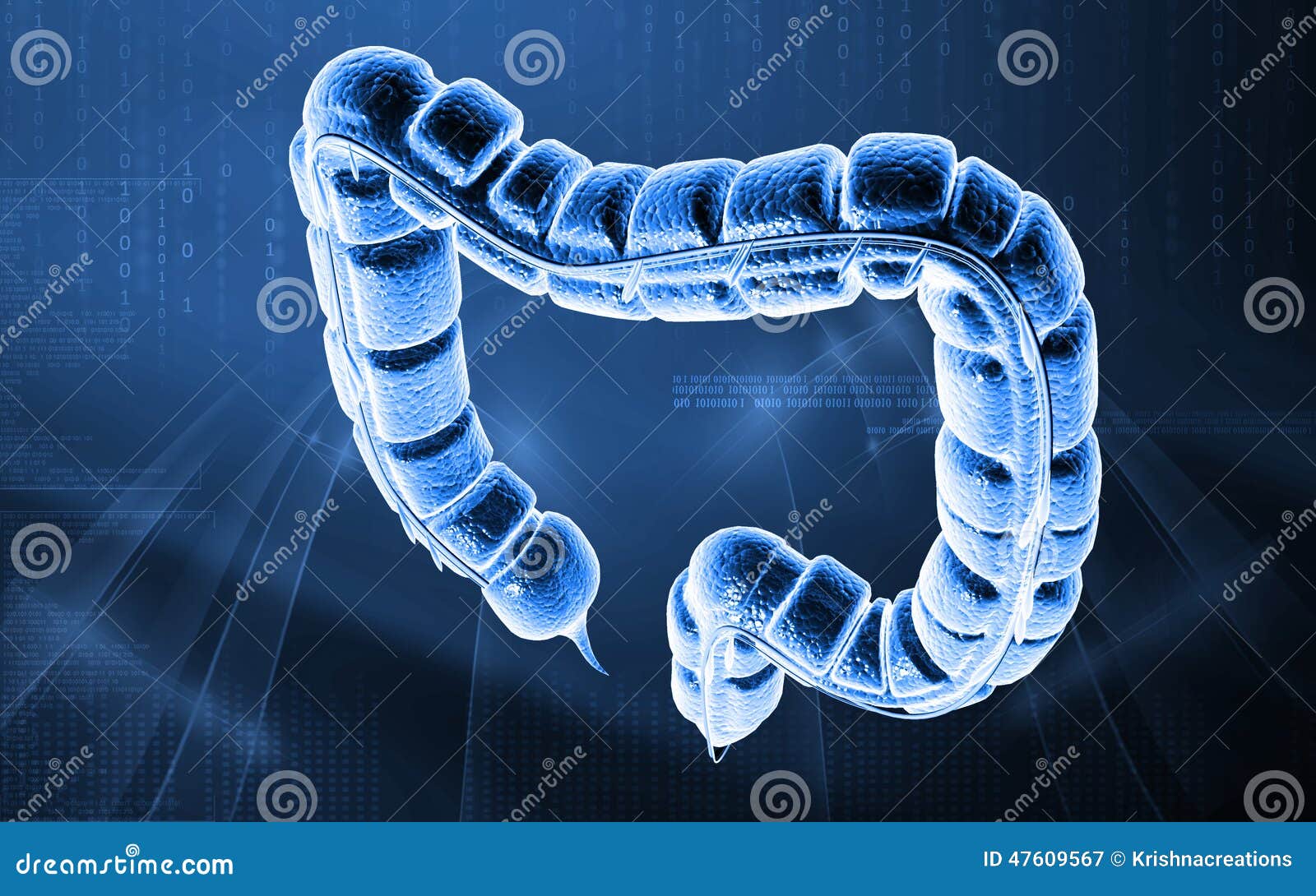 Large intestine stock illustration. Illustration of computer - 47609567