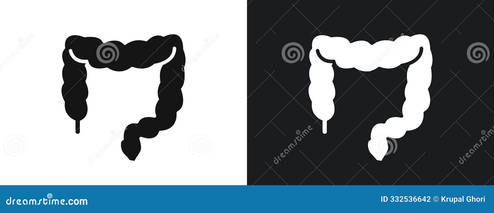 Large Intestine Icon Linear Graphics Set Vector in Black Stock ...