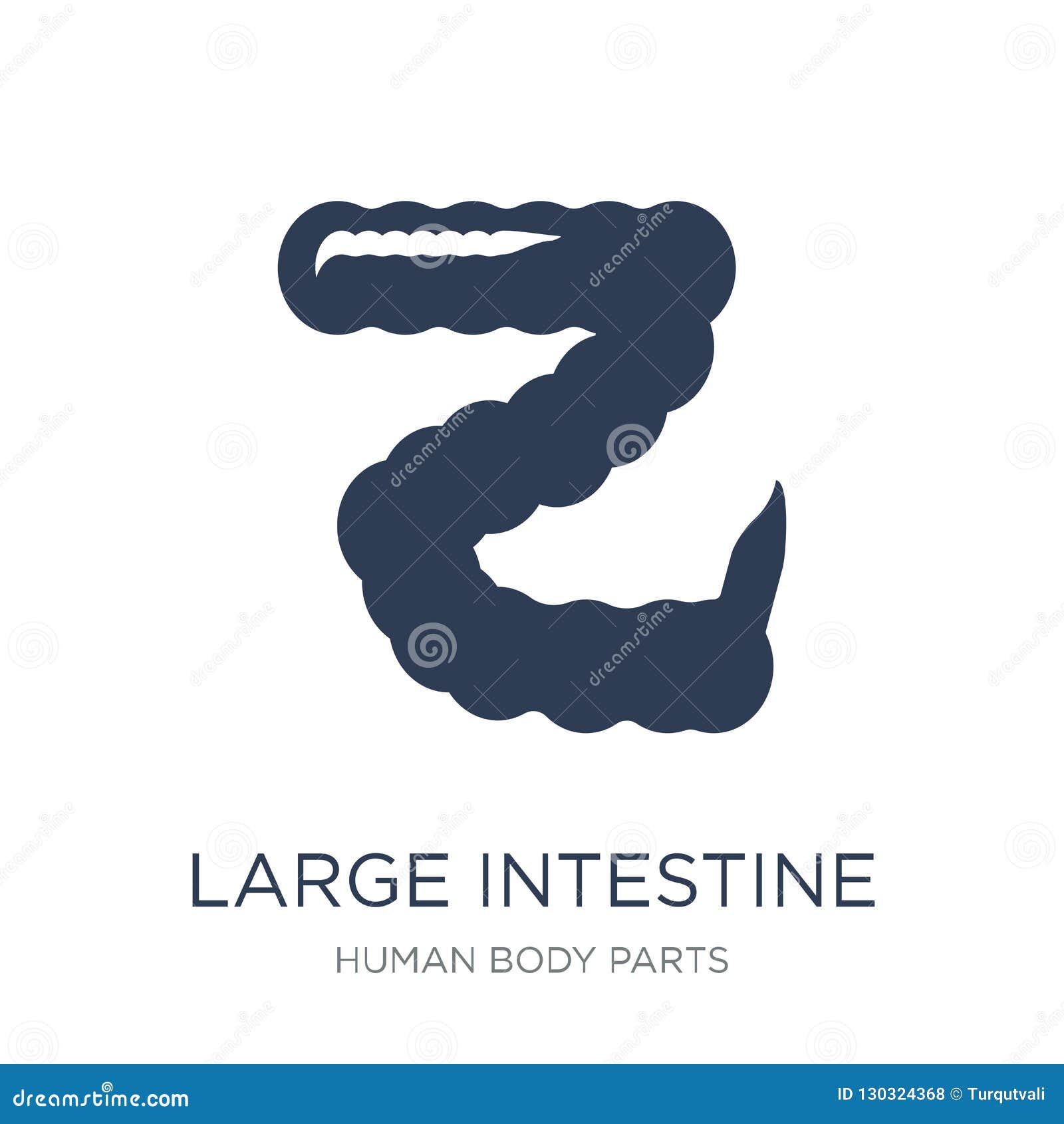 Large Intestine Icon. Trendy Flat Vector Large Intestine Icon on Stock ... Large Intestine Icon. Trendy Flat Vector Large Intestine Icon on Stock ...