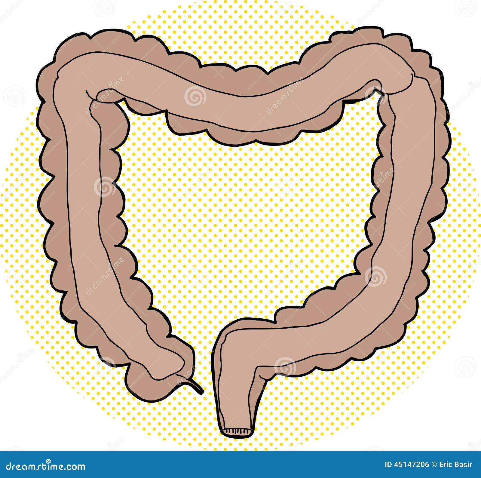 Large Intestine Interior stock vector. Illustration of hand - 45147206