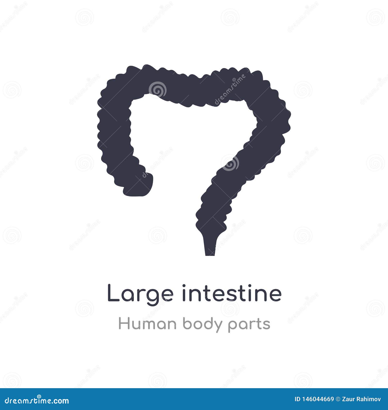 Intestine Outline Icon. Simple Linear Element Illustration. Isolated ... Intestine Outline Icon. Simple Linear Element Illustration. Isolated ...