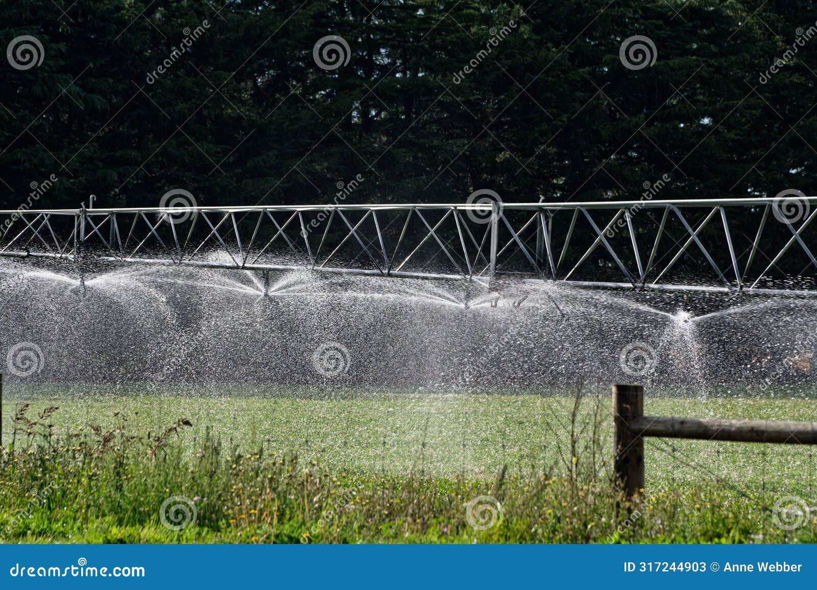 A Large Irrigation Arm is Spraying Water on a Paddock Stock Image ...