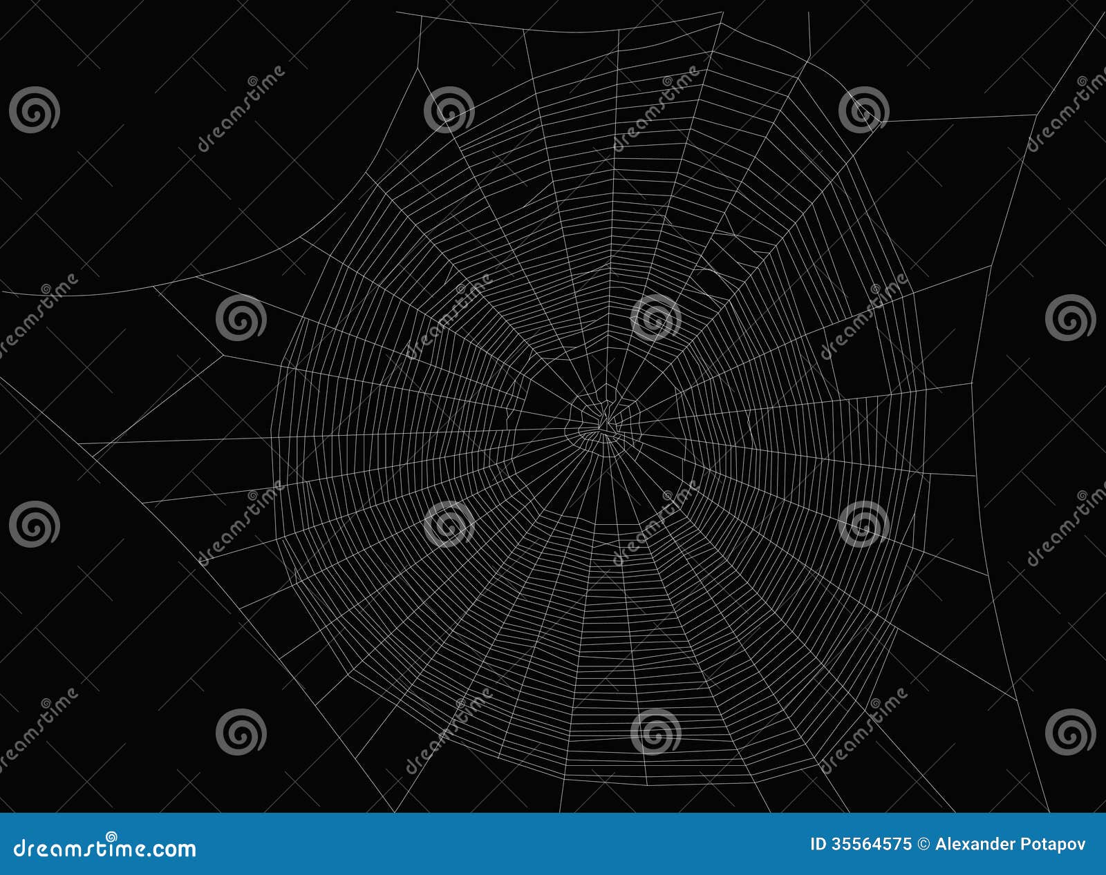 Large Isolated White Spider Web Stock Vector - Illustration of spider ...